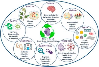 Frontiers | Prospects of green nanotechnology for efficient management of neurodegenerative diseases